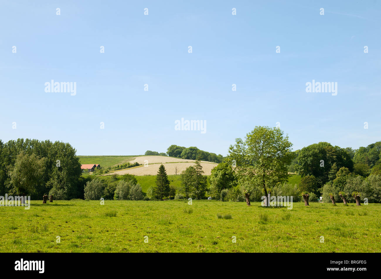 Hills of limburg hi-res stock photography and images - Alamy