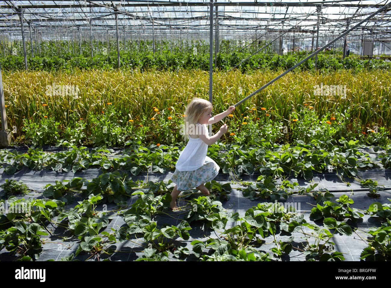 Ballymaloe Cookery School the only cookery school in the world located ...