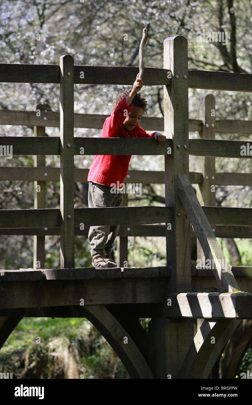A young boy plays Pooh Sticks over Pooh Bridge. Picture by James ...