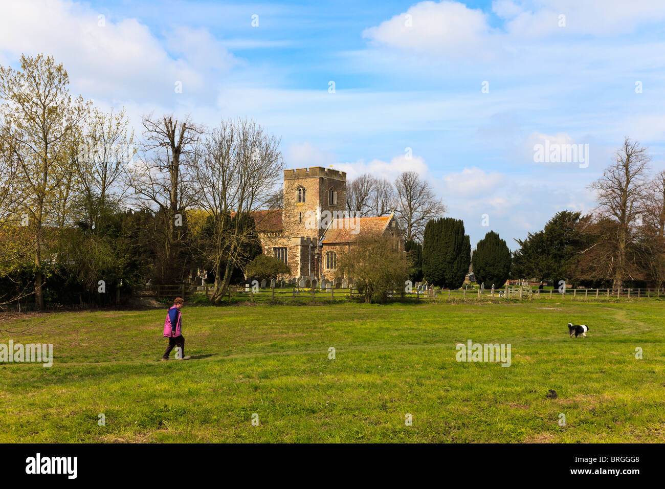 St Mary's Church, Meppershall, A woman walks her dog across a field ...