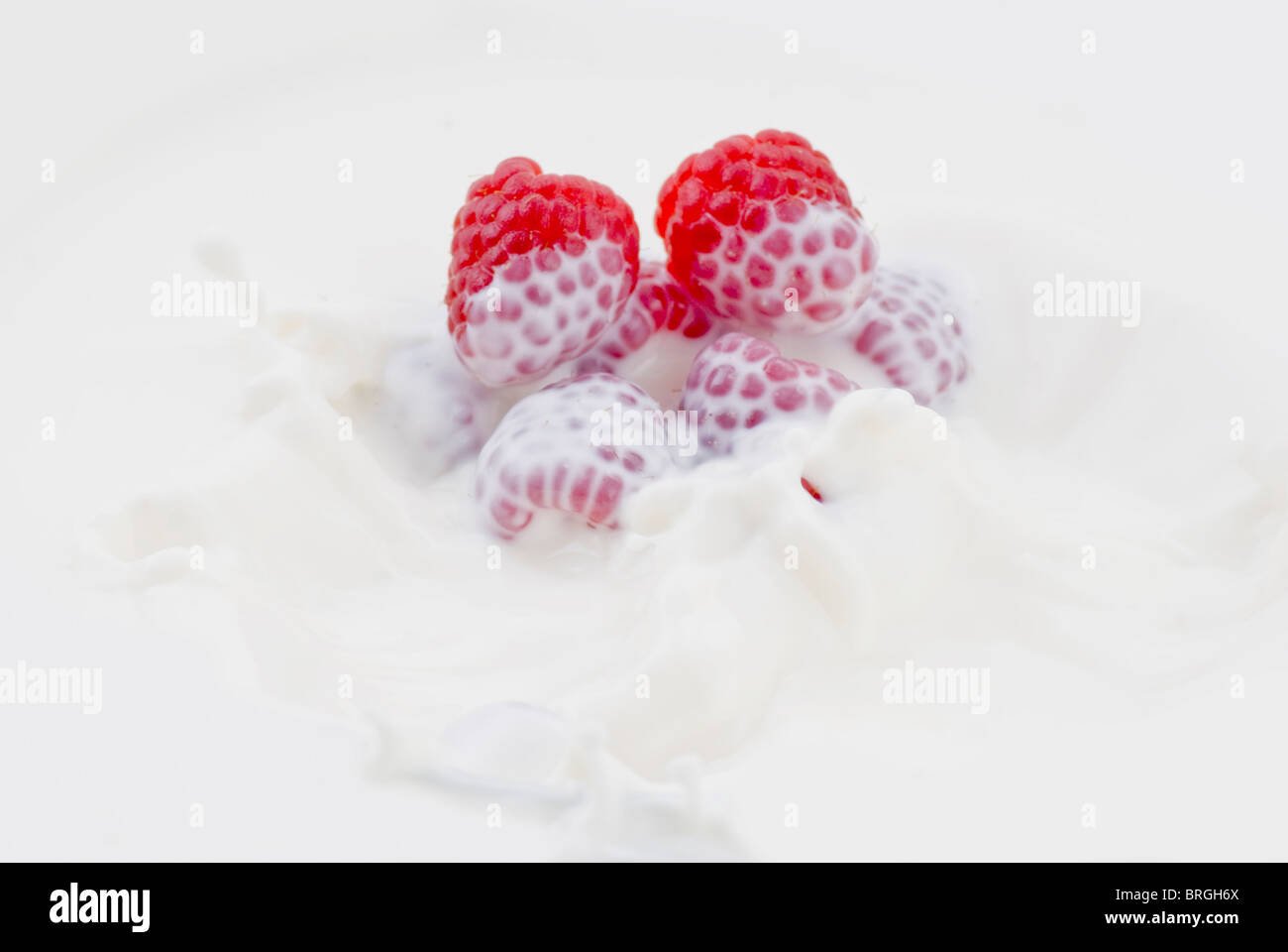 Fresh raspberry dropped into the milk - close up Stock Photo - Alamy