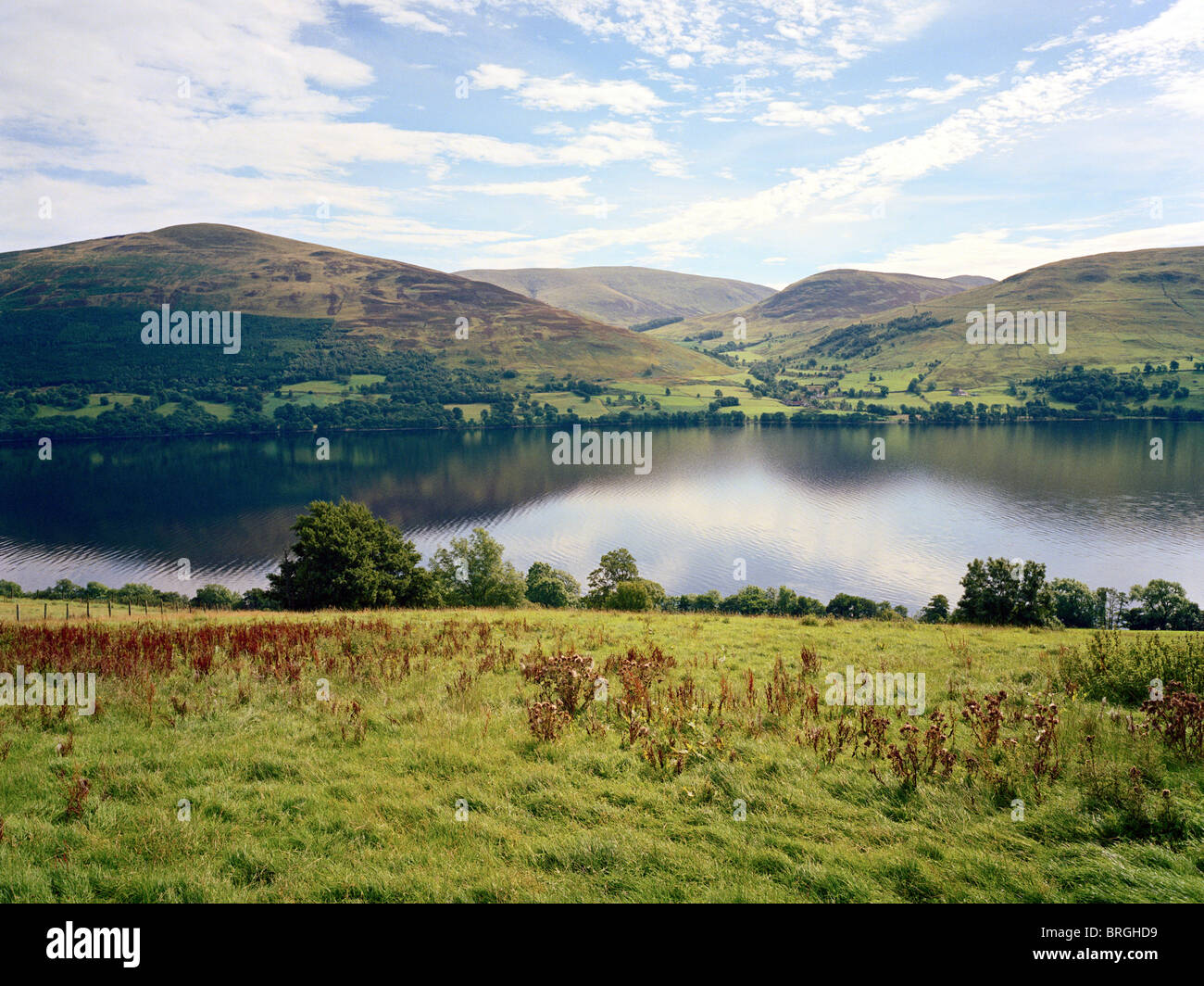 Loch tay tayside scotland great hi-res stock photography and images - Alamy