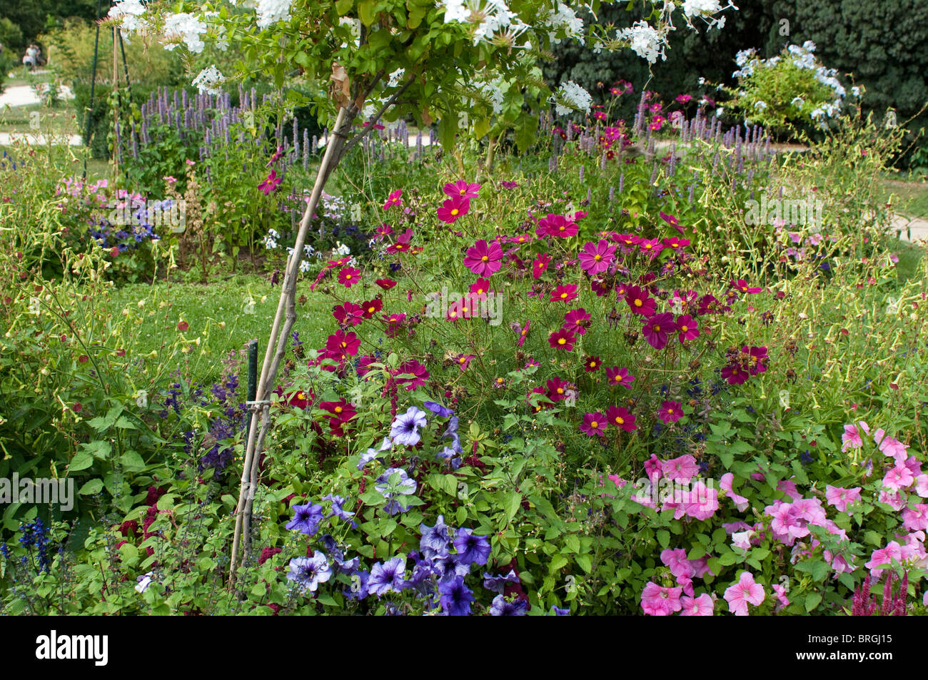 Mixed border hi-res stock photography and images - Alamy