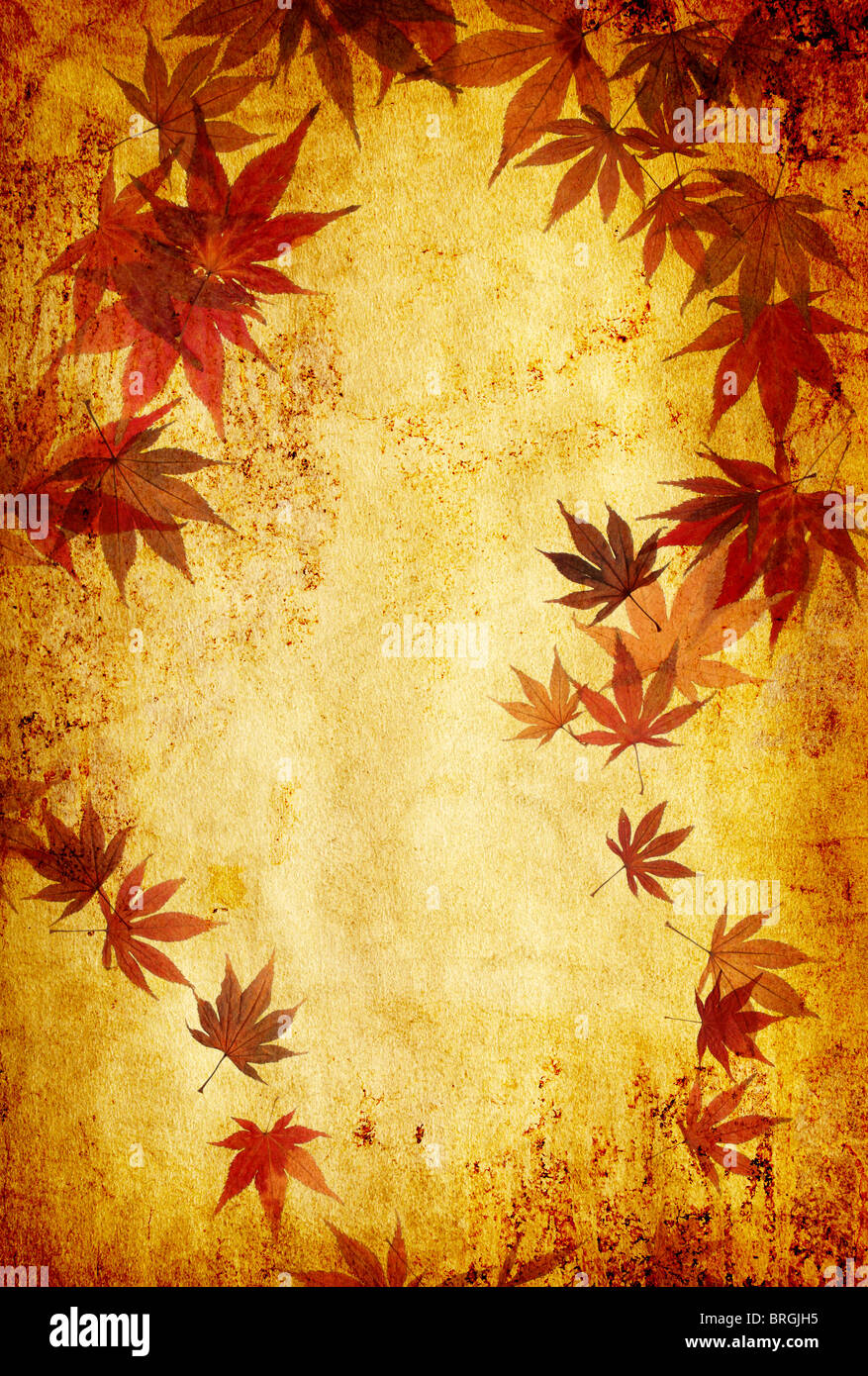 Abstract leaf background hi-res stock photography and images - Alamy