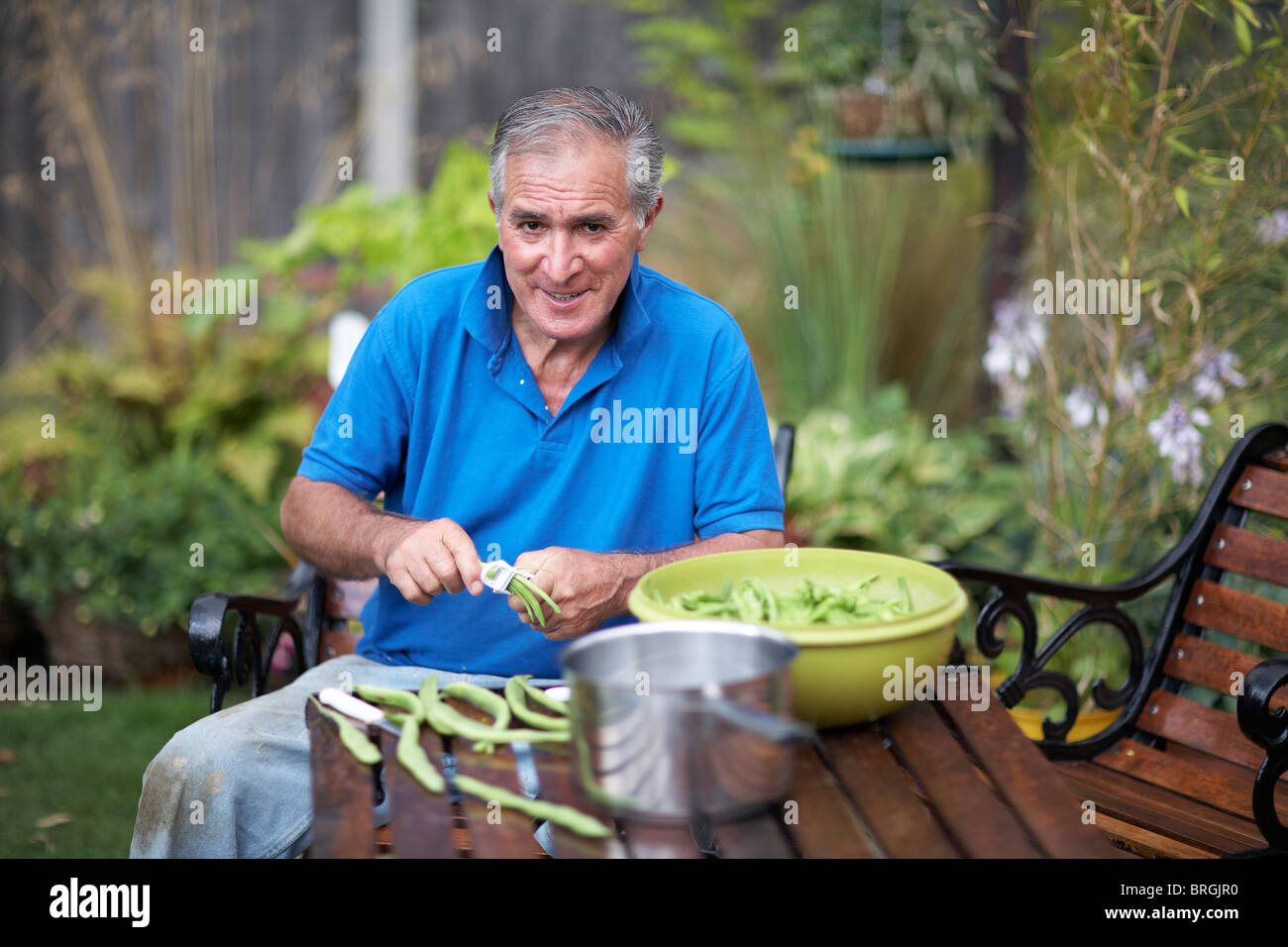 Retired Man age 65 to 75 years preparing home grown runner beans ...