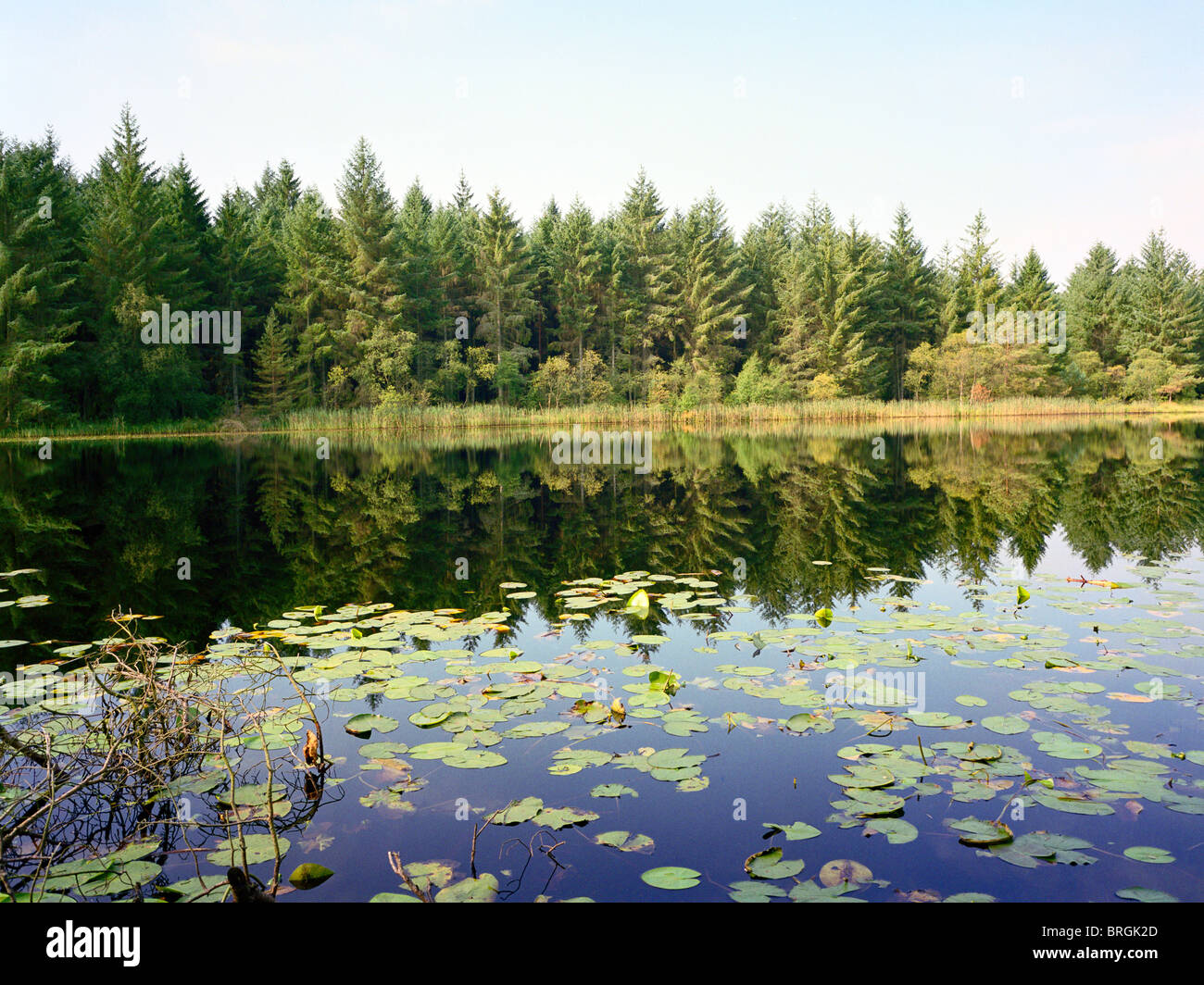 White Loch Colvend Galloway Scotland Stock Photo - Alamy
