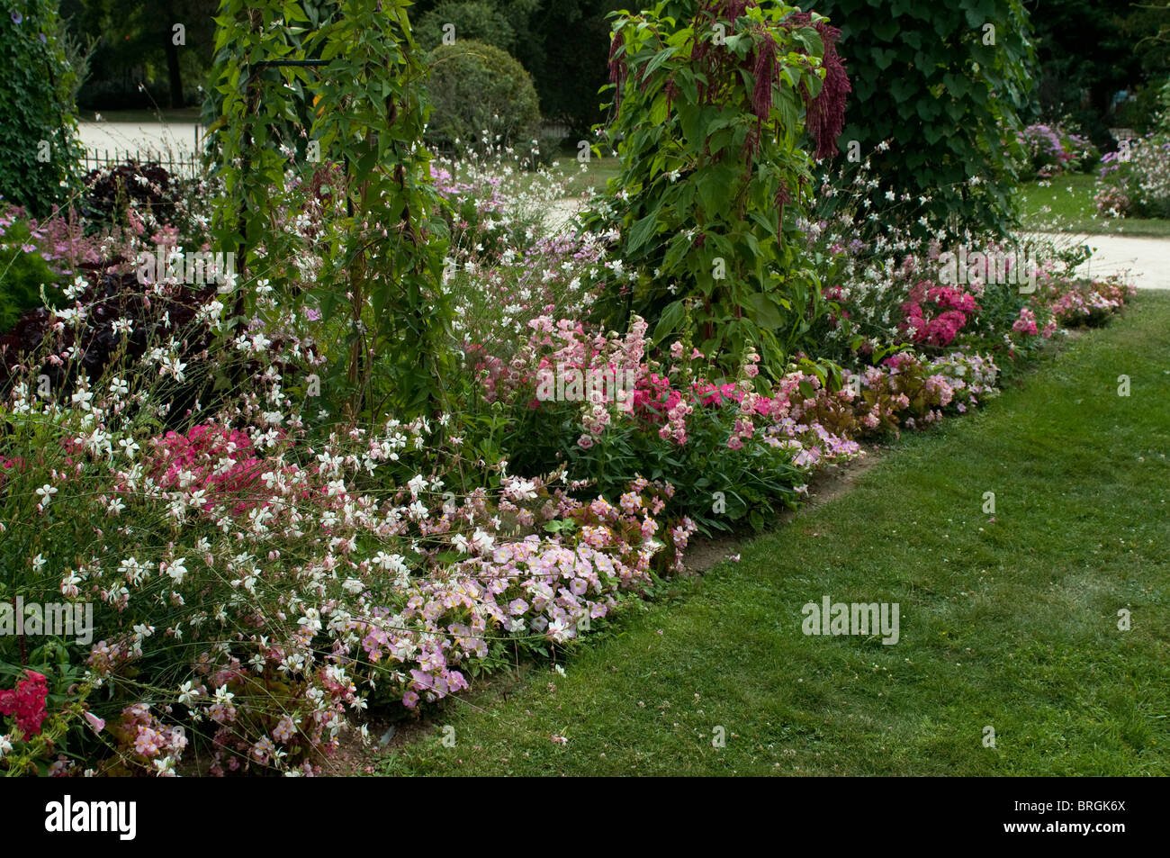 Mixed border hi-res stock photography and images - Alamy