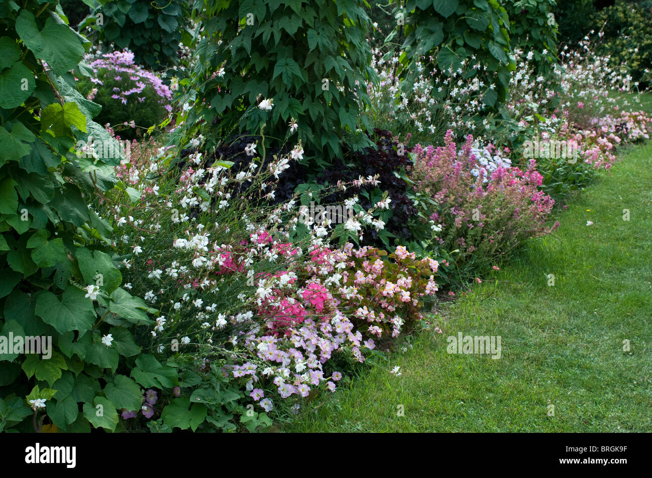 Mixed border hi-res stock photography and images - Alamy