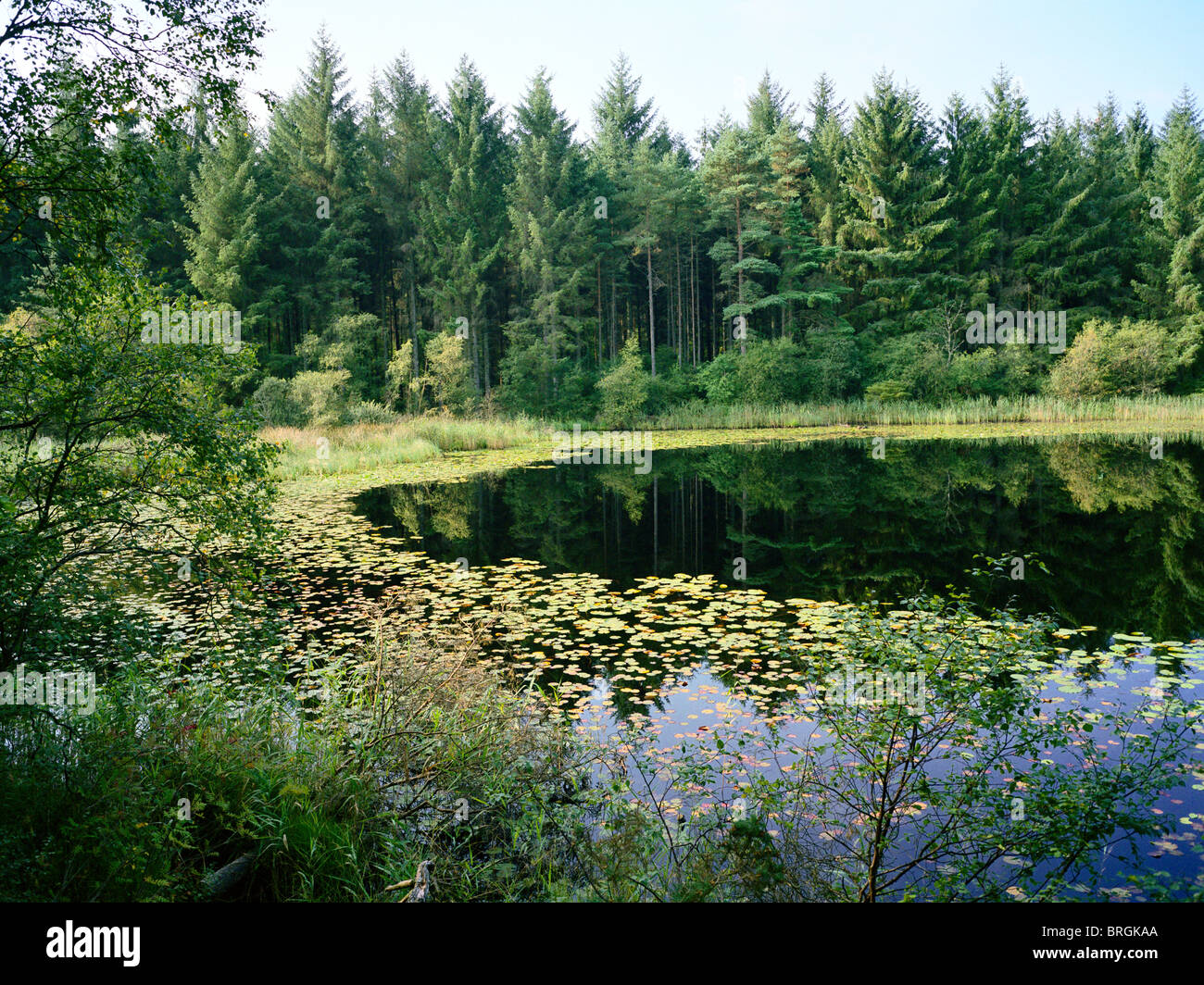 White Loch Colvend Galloway Scotland Stock Photo - Alamy