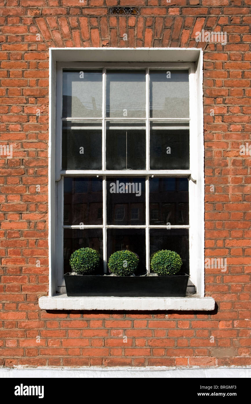 Dublin Georgian Window Georgian Window | Georgian Windows Ireland