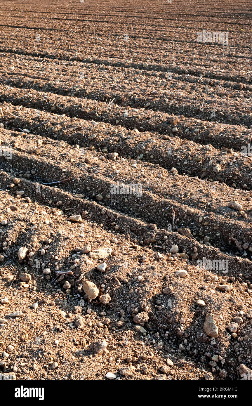 Tilled earth field hi-res stock photography and images - Alamy