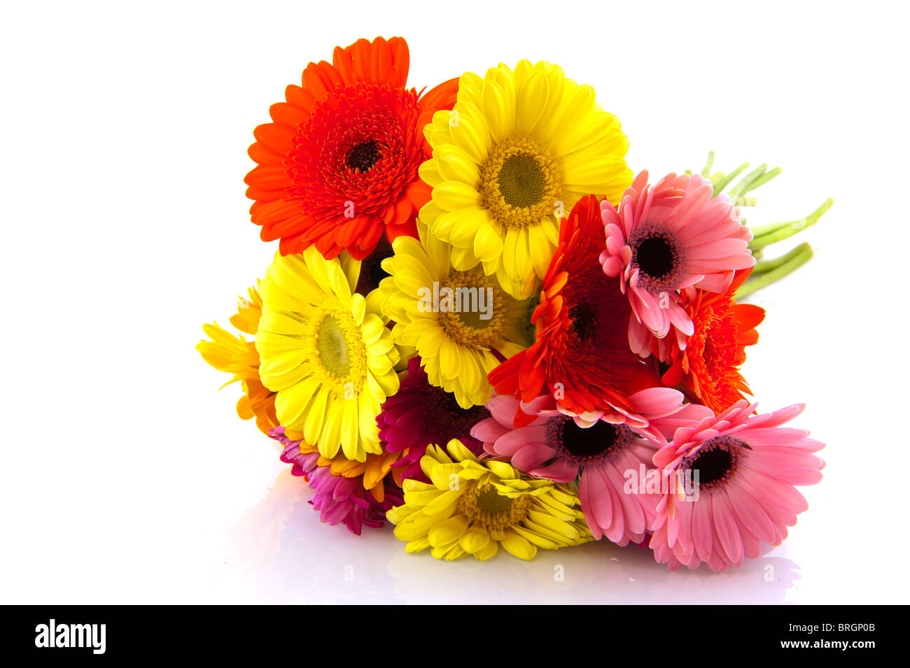 Colorful Gerber bouquet in different colors isolated over white Stock ...