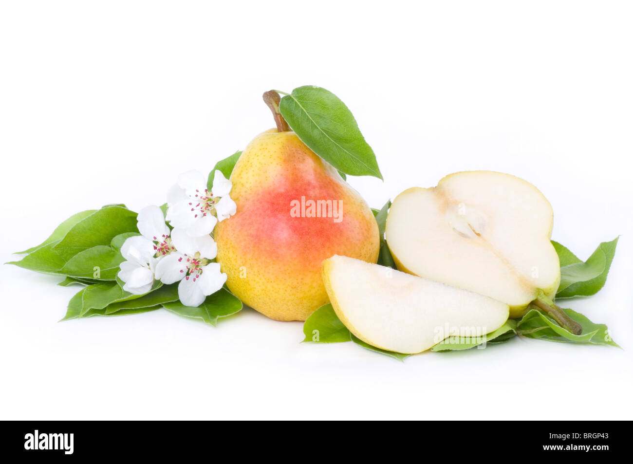 Pear with flowers and leaves Stock Photo - Alamy