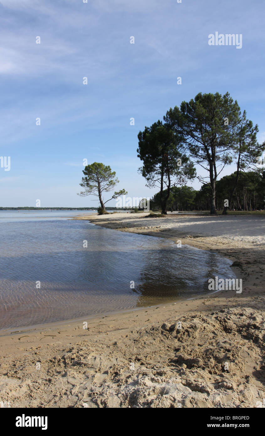 shore of lac de Cazaux et de Sanguinet France September 2010 Stock ...