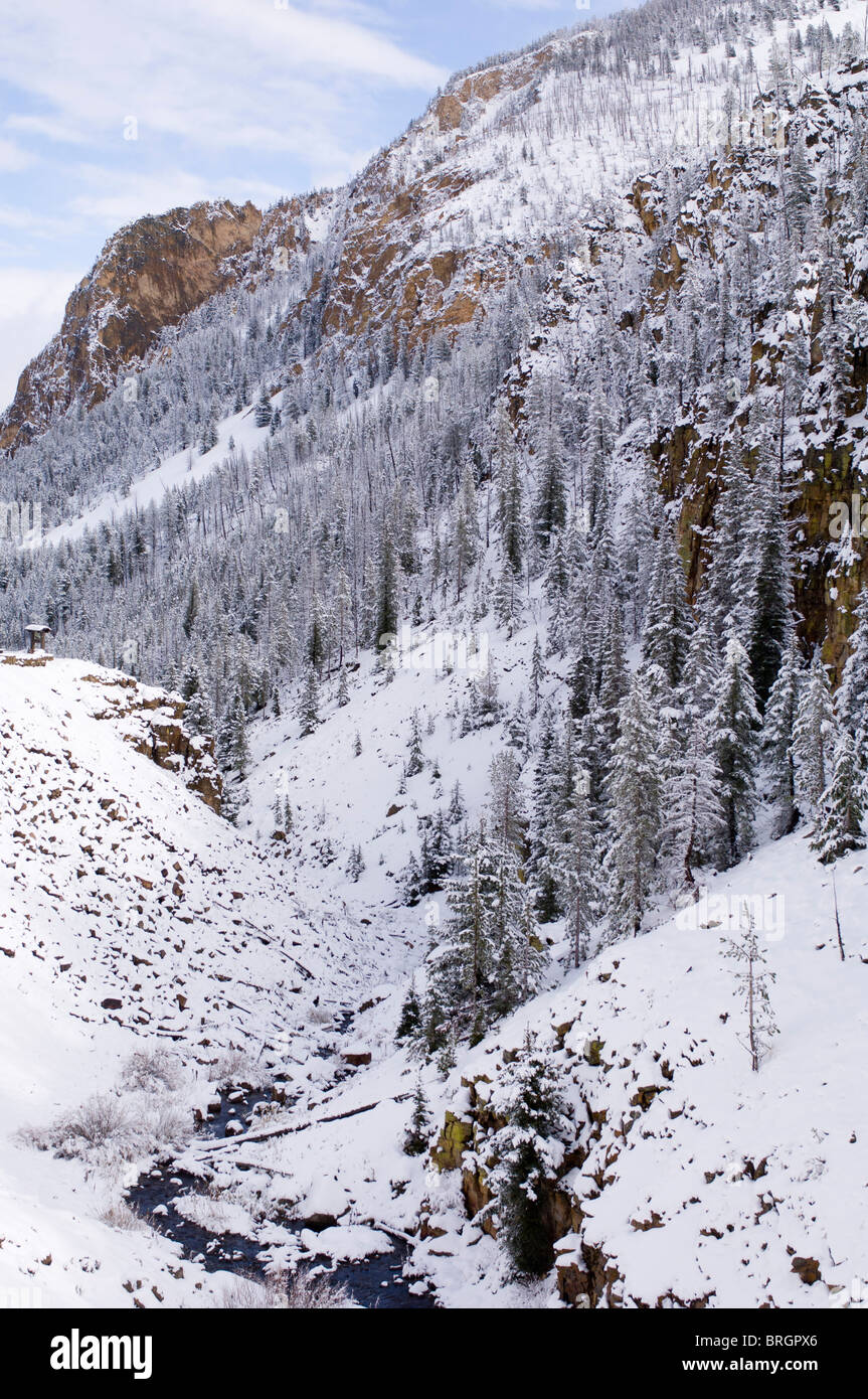 Golden gate canyon yellowstone national hi-res stock photography and ...