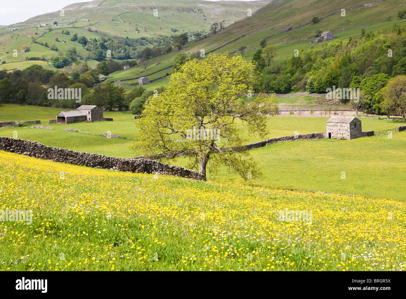 Swaledale in the Yorkshire Dales National Park, between Muker and ...