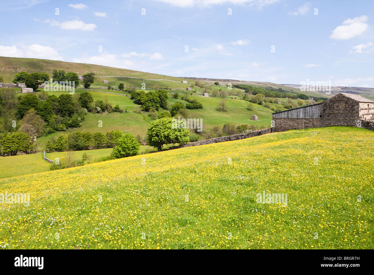 Springtime in Swaledale in the Yorkshire Dales National Park, between ...