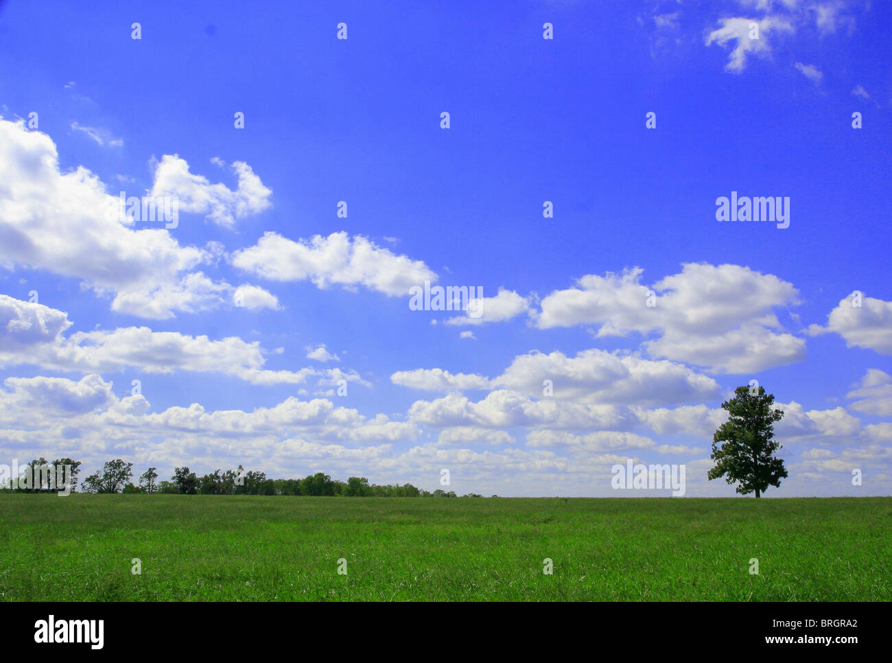 Wide open spaces Stock Photo - Alamy