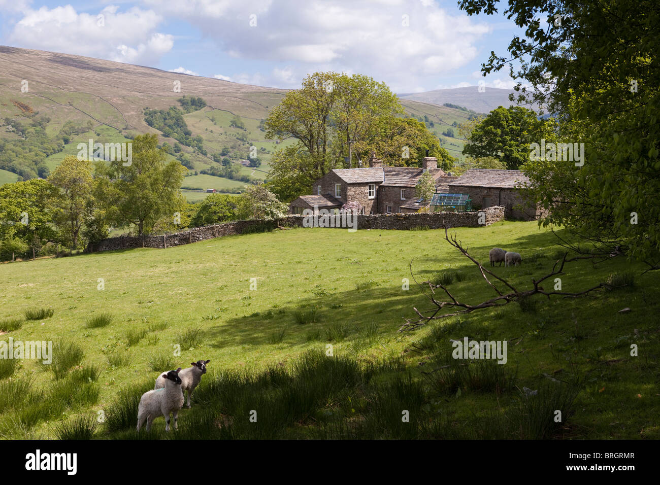Yorkshire dales farm hills village hi-res stock photography and images ...