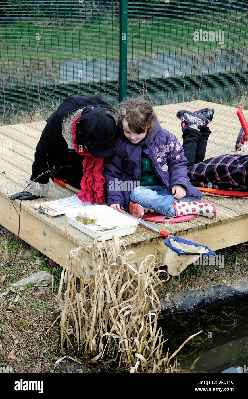 Pond dipping platform hi-res stock photography and images - Alamy