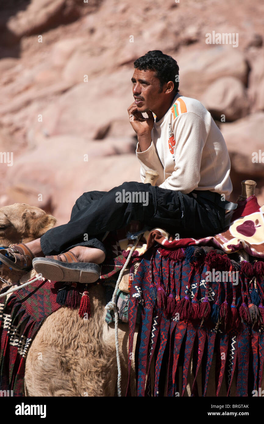 Bedouin camel rider, Petra, Jordan Stock Photo - Alamy