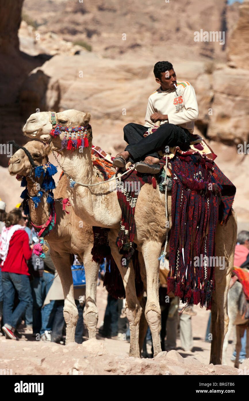 Bedouin camel rider, Petra, Jordan Stock Photo - Alamy