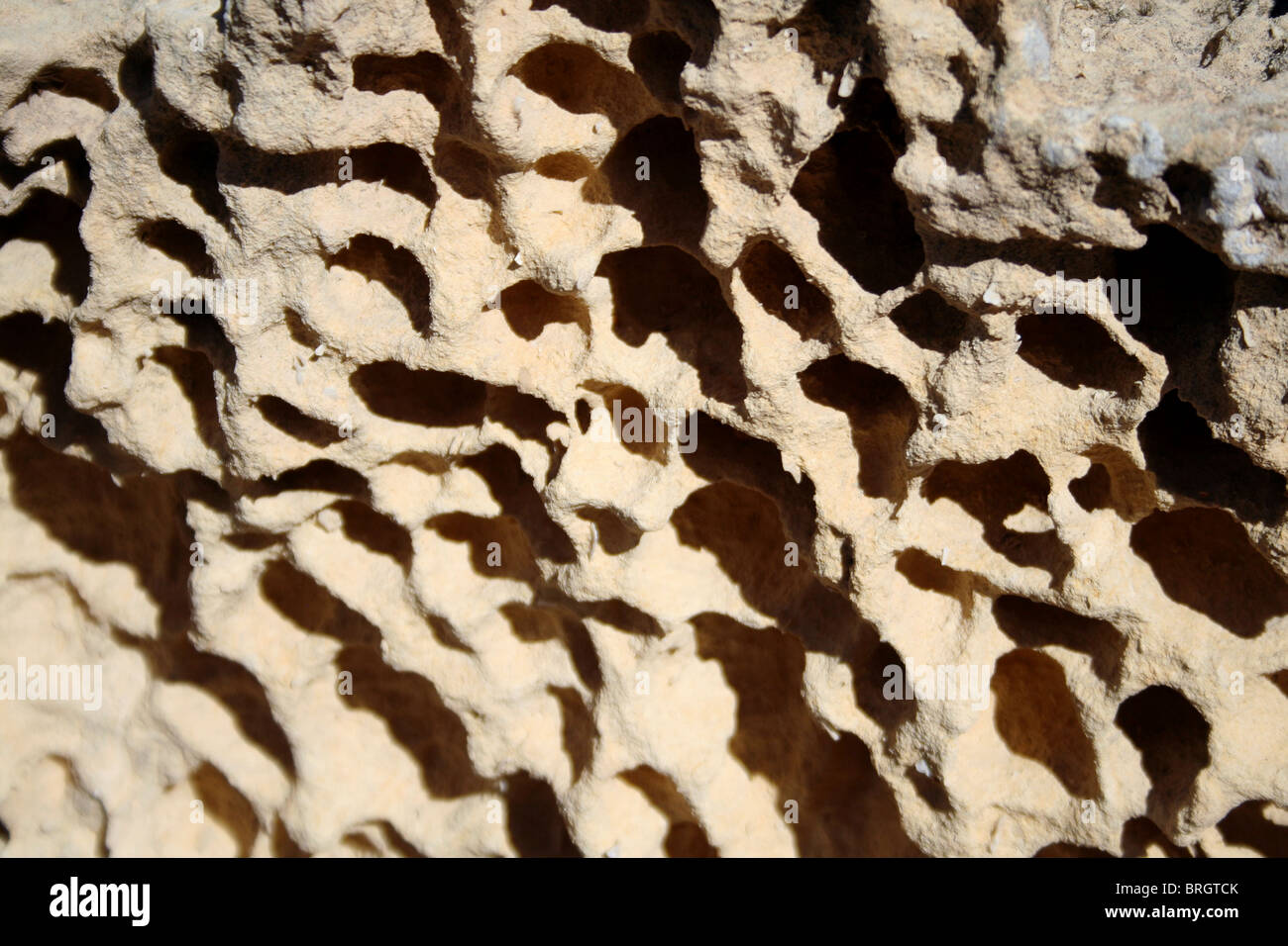 pitted sandstone clearly demonstrating erosion Stock Photo - Alamy