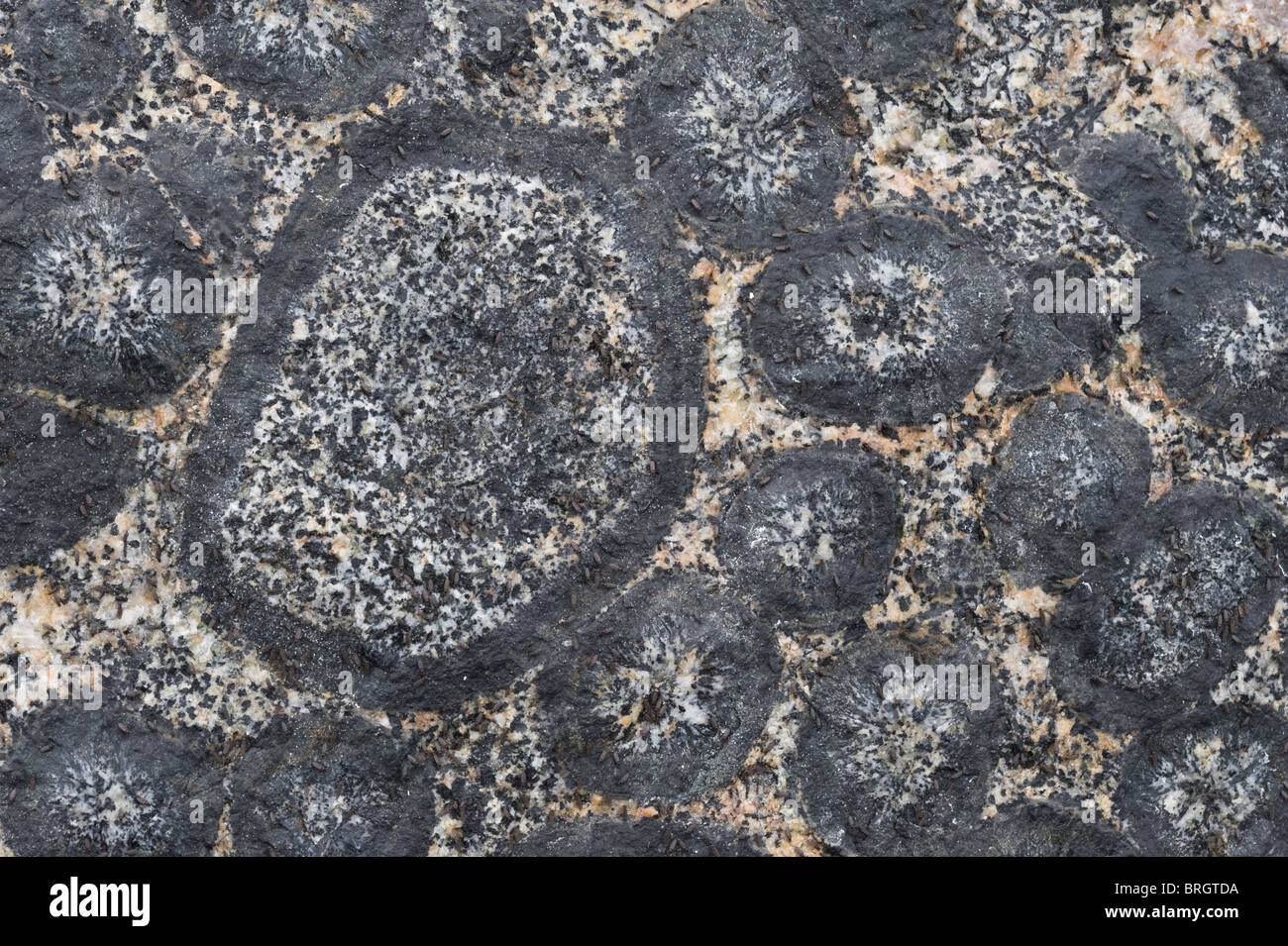 Close-up orbicular granite rock Granito Orbicular Santuario de la ...