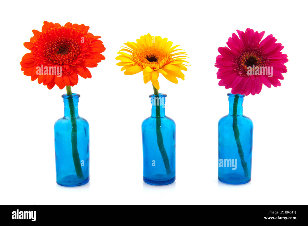 Row blue glass vases with colorful flowers isolated over white Stock ...