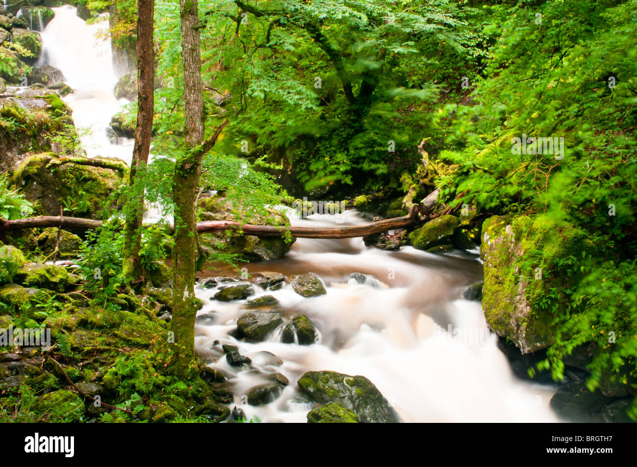 Lodore Falls, Derwent Water, Lake District Stock Photo - Alamy