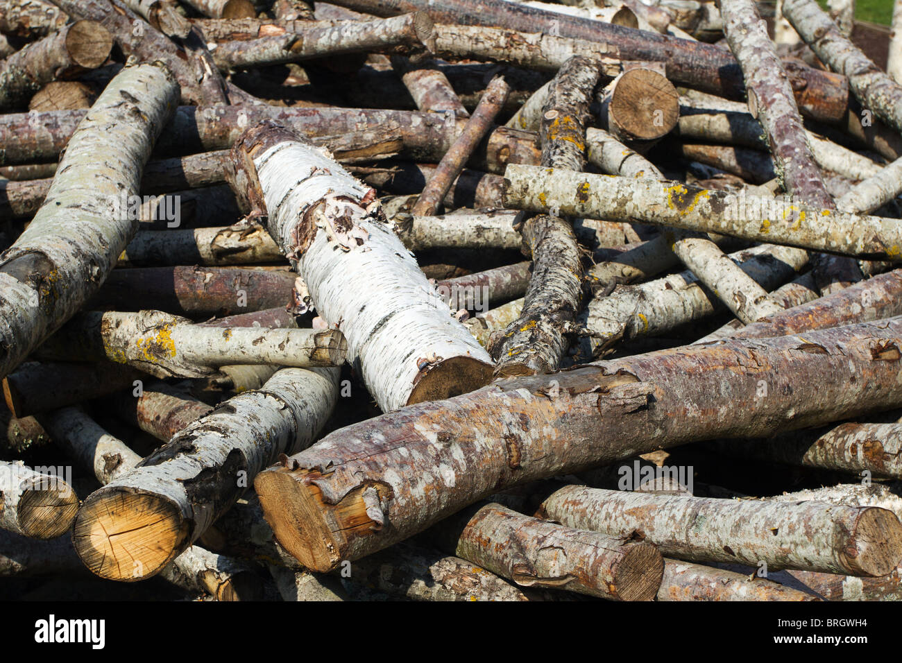 Pile of Cut Wood Logs Stock Photo - Alamy
