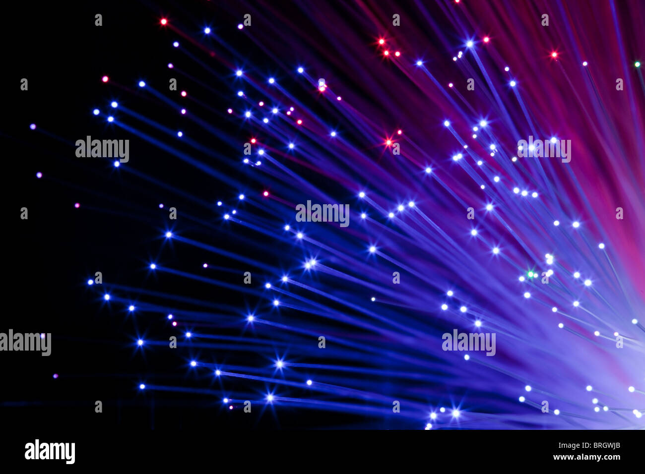 closeup on decorative blue and pink optic fibers under black background ...