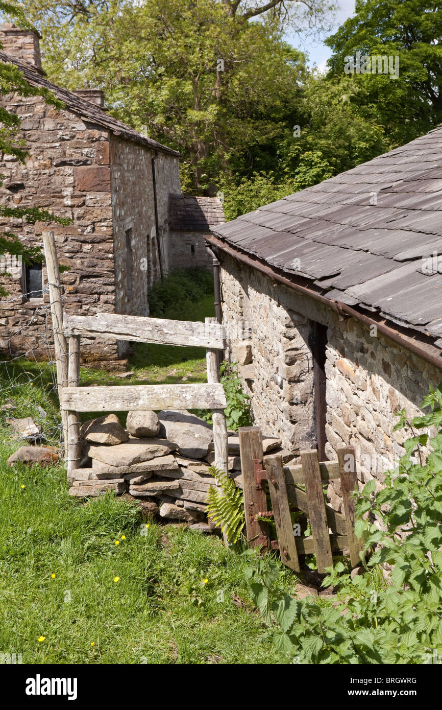 A footpath in Dentdale in the Yorkshire Dales National Park near the ...