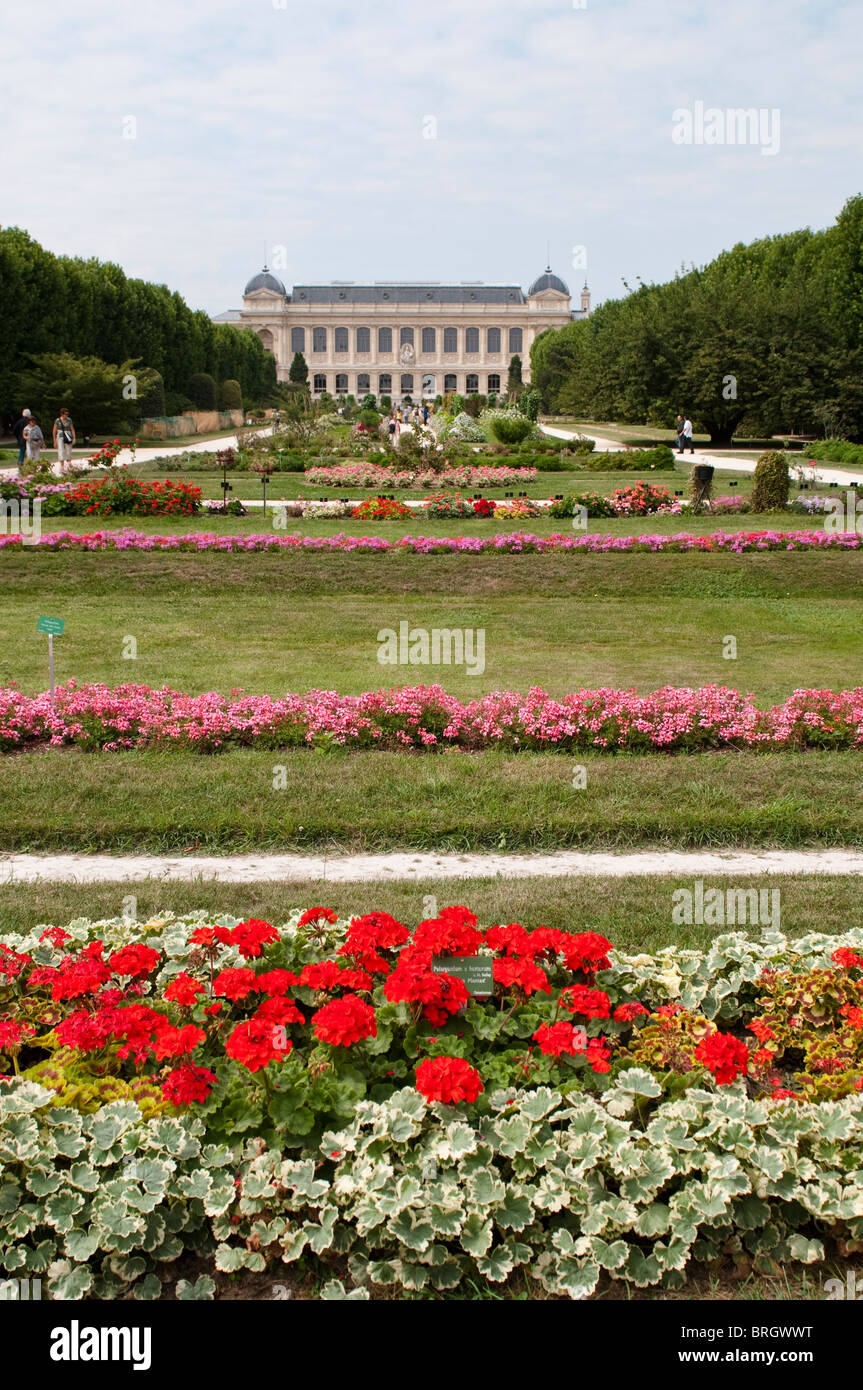 Garden Flower Bed Border High Resolution Stock Photography and Images ...