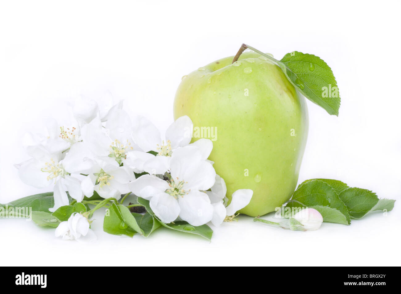 Green apple with flowers Stock Photo - Alamy