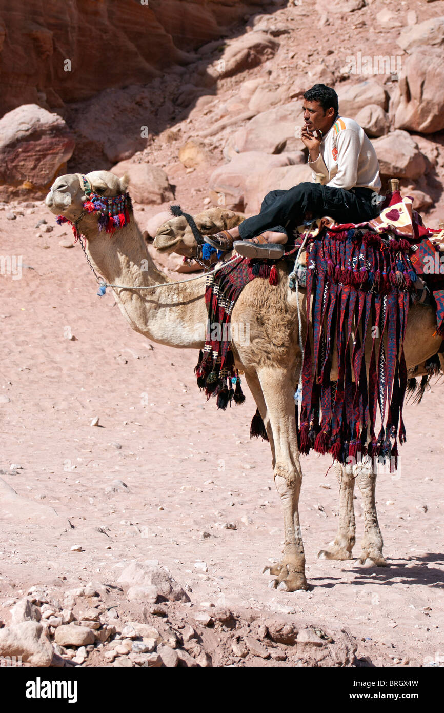 Bedouin camel rider, Petra, Jordan Stock Photo - Alamy