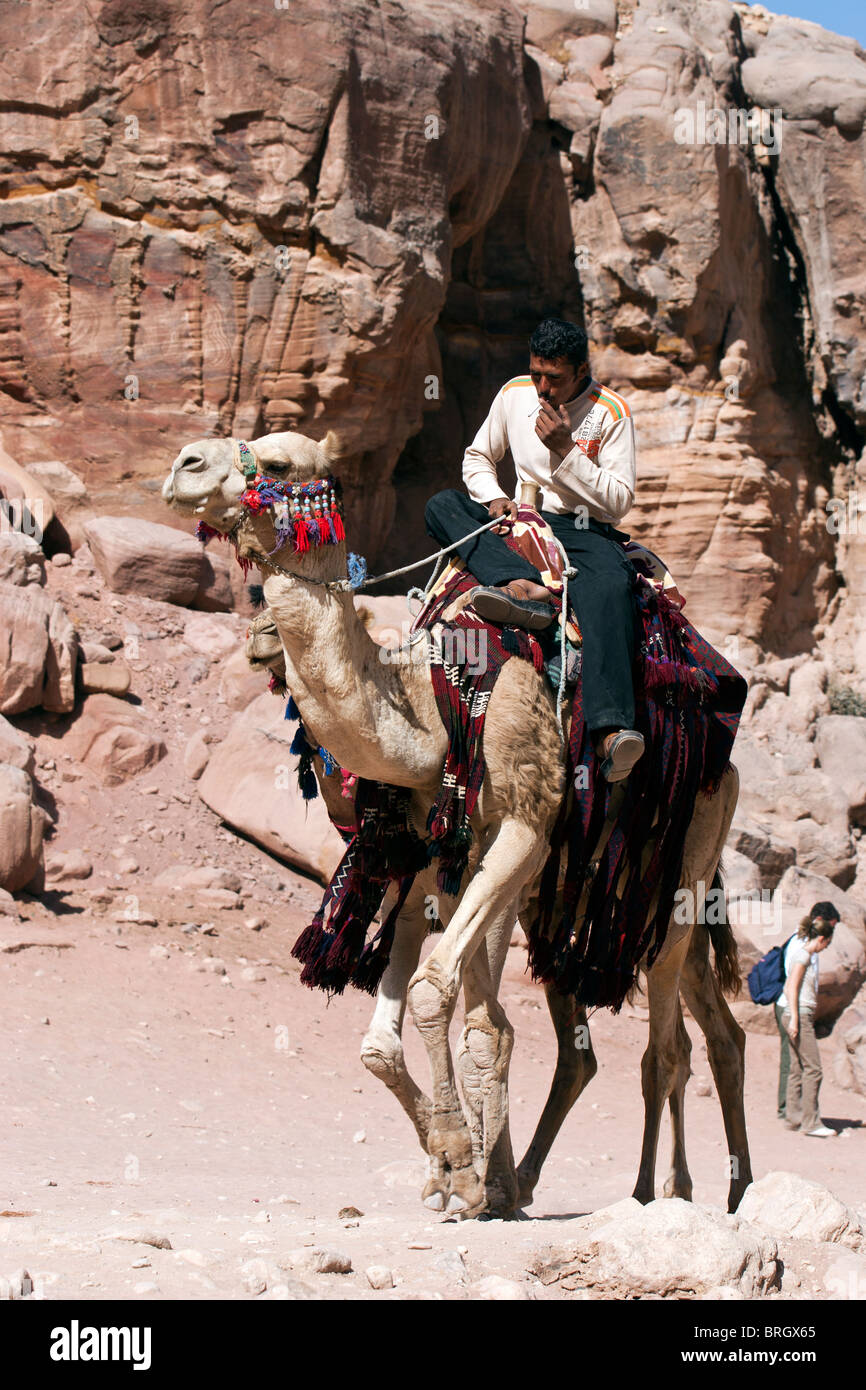 Camel sat hi-res stock photography and images - Alamy
