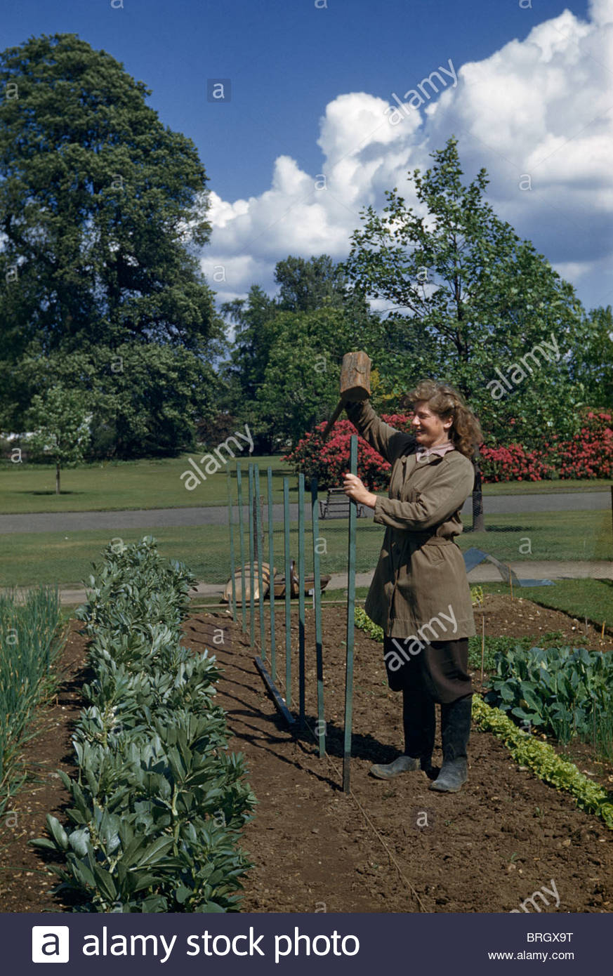 1950s Working Man Britain Stock Photos & 1950s Working Man Britain ...