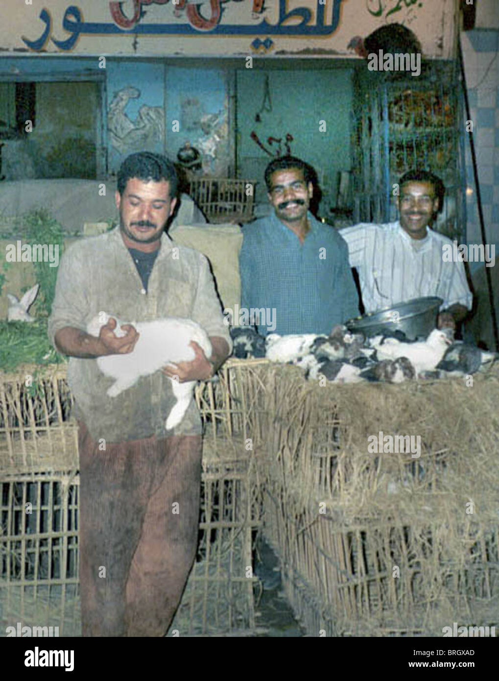 Men selling animals in the market in Cairo, Egypt Stock Photo - Alamy
