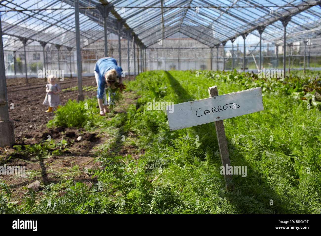 Ballymaloe Cookery School the only cookery school in the world located ...