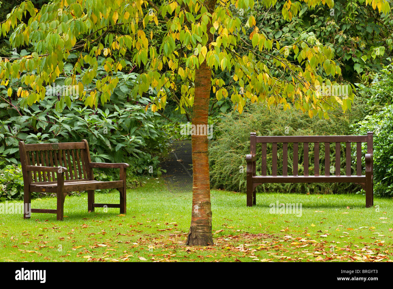 Empty Park benches in autumn, UK Stock Photo - Alamy