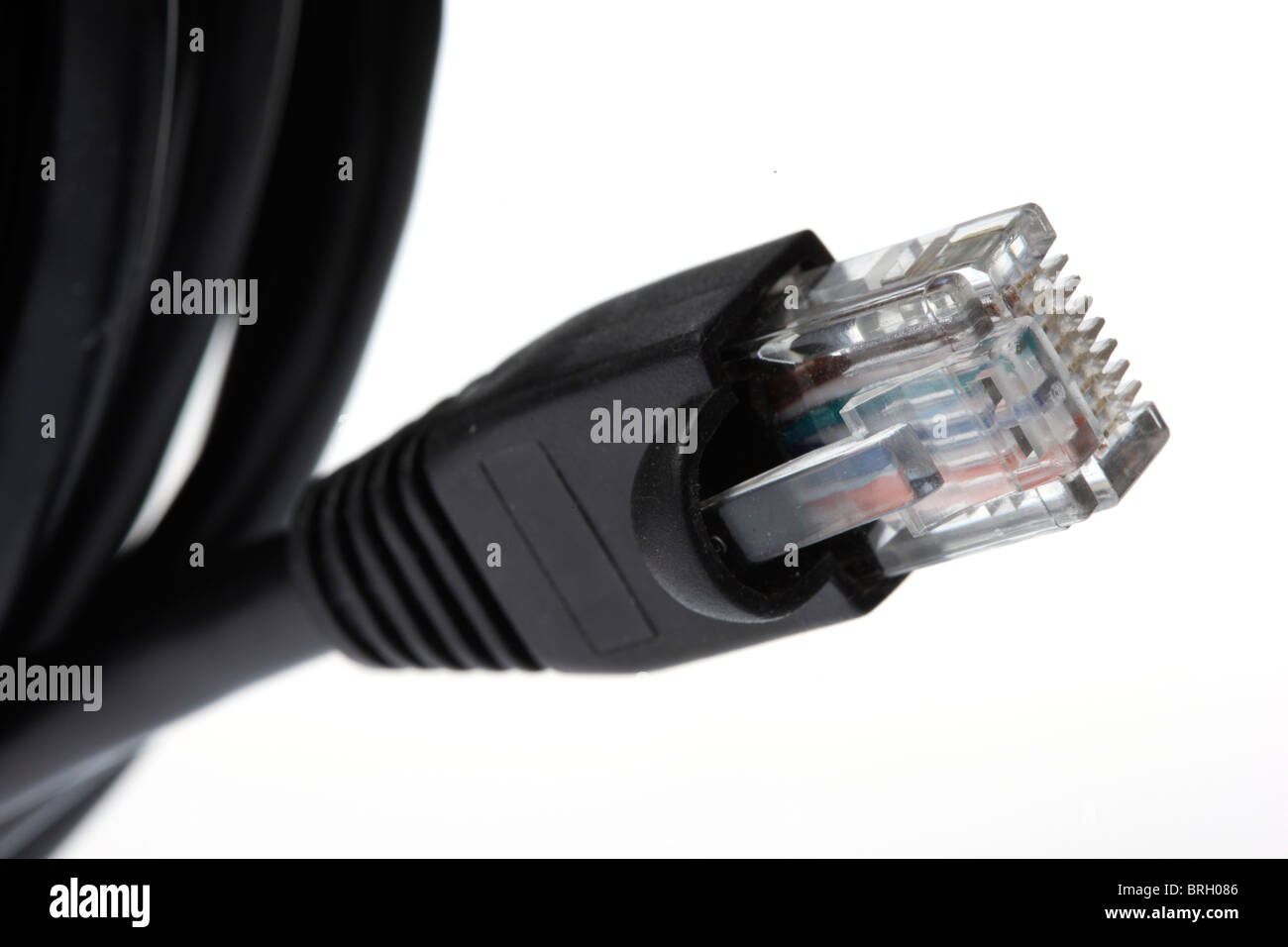 Computer network cable, plug of a LAN cable Stock Photo - Alamy