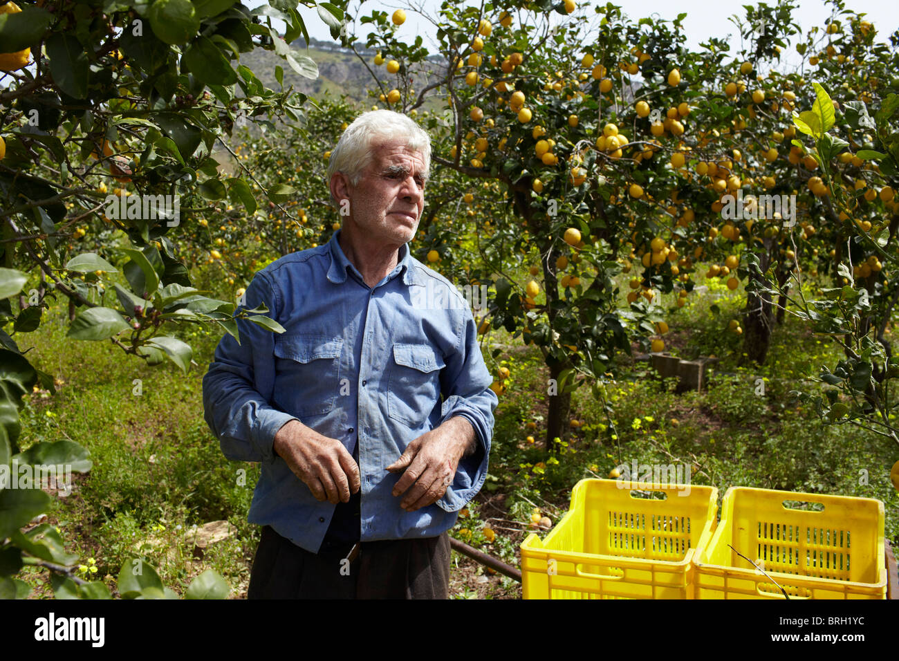 John lemon hi-res stock photography and images - Alamy