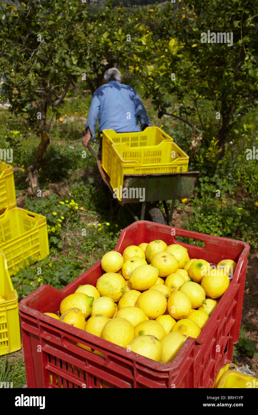 Luscombe drinks hi-res stock photography and images - Alamy