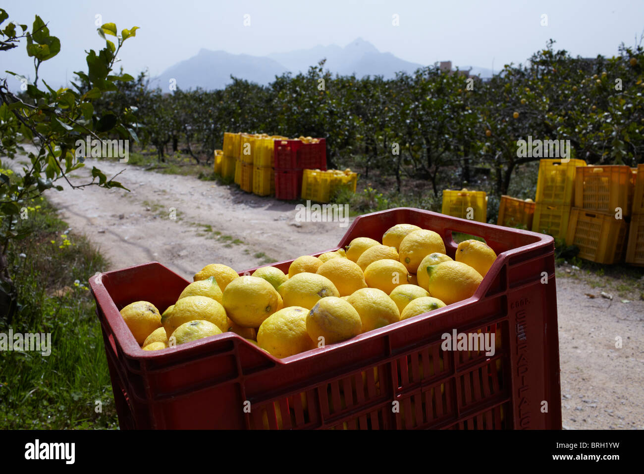 John lemon hi-res stock photography and images - Alamy