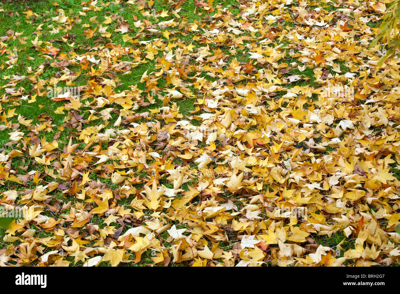 Fallen beams hi-res stock photography and images - Alamy