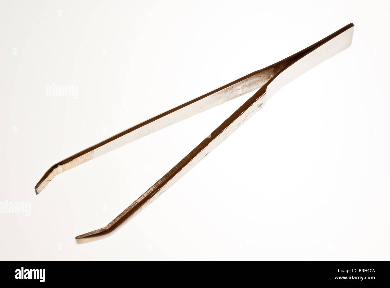 Tweezers on isolated white background Stock Photo - Alamy