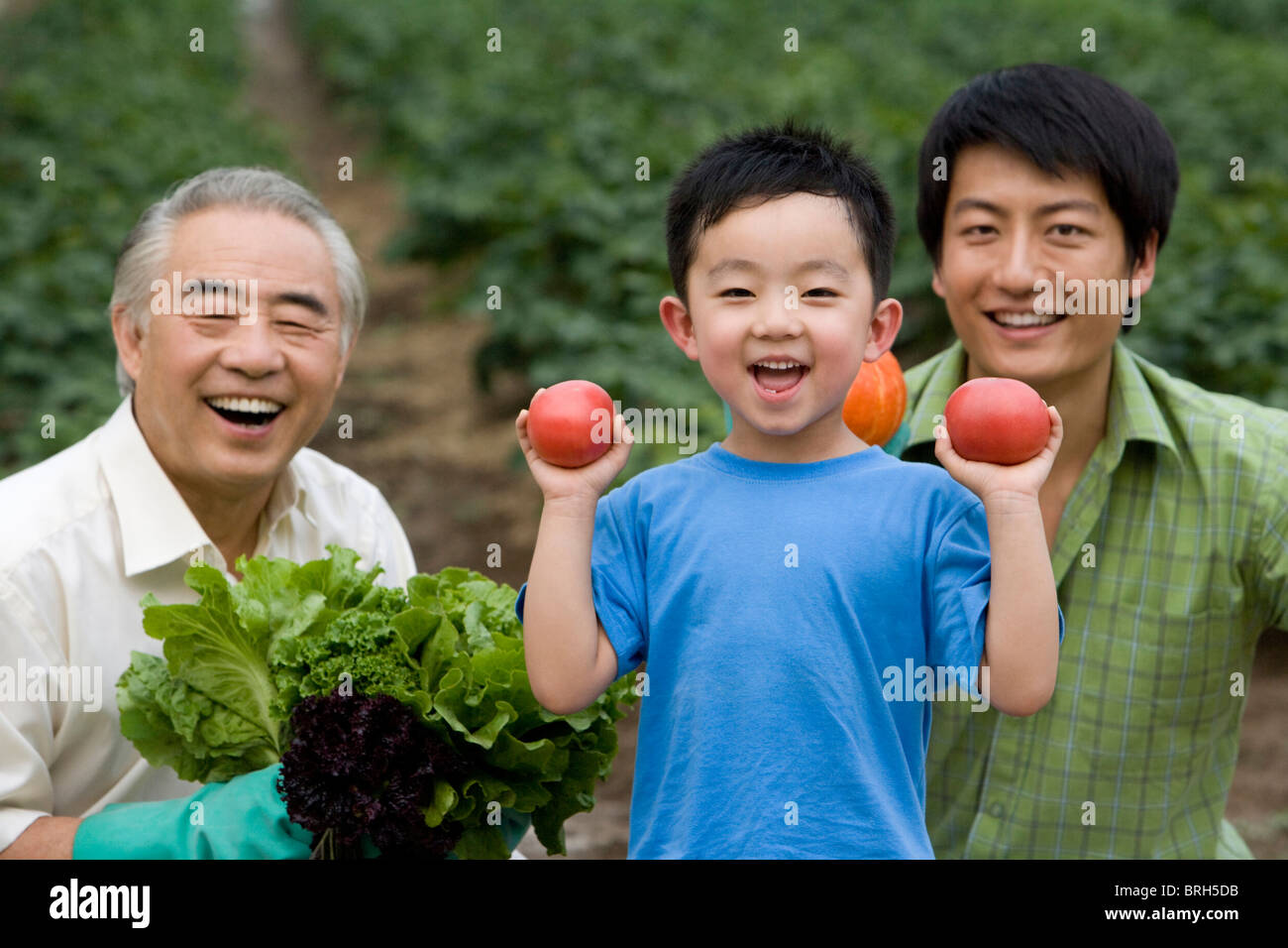 Three generation of males gardening Stock Photo - Alamy