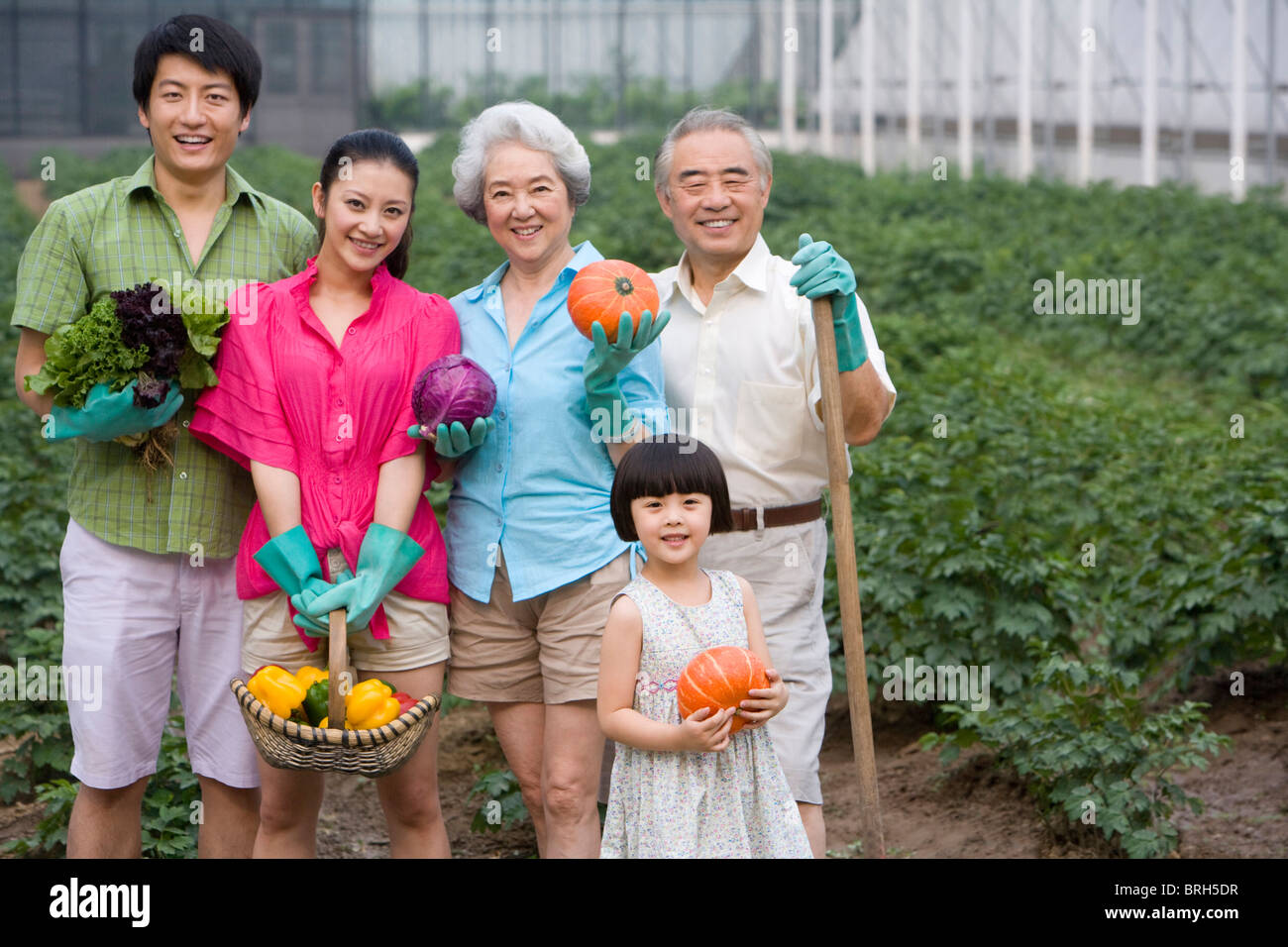 Three generation family in the garden Stock Photo - Alamy