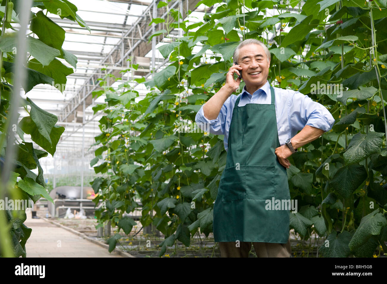 Farmer talk on the phone in modern farm Stock Photo - Alamy